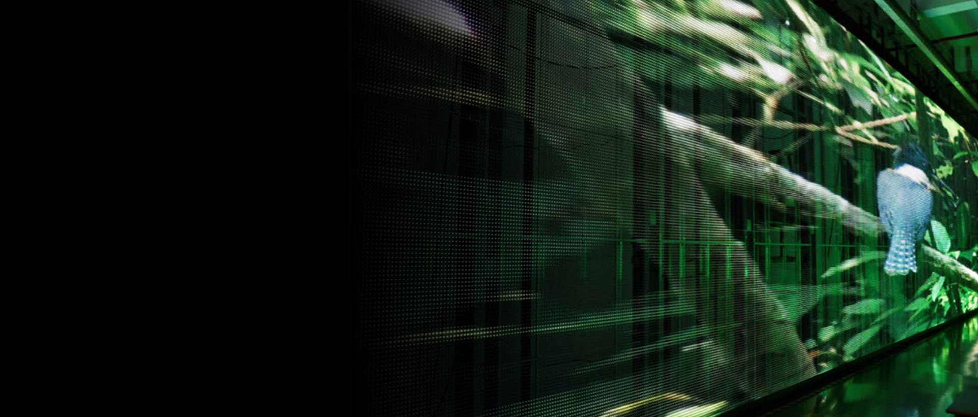 About Us - FLX Digital